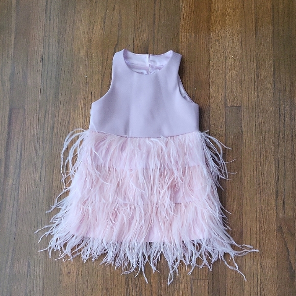 Milly Minis | Dresses | Milly Minis Pink Feathered Formal Dress | Poshmark